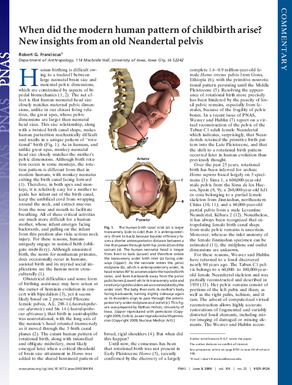 (PDF) When did the modern human pattern of childbirth arise? New ...