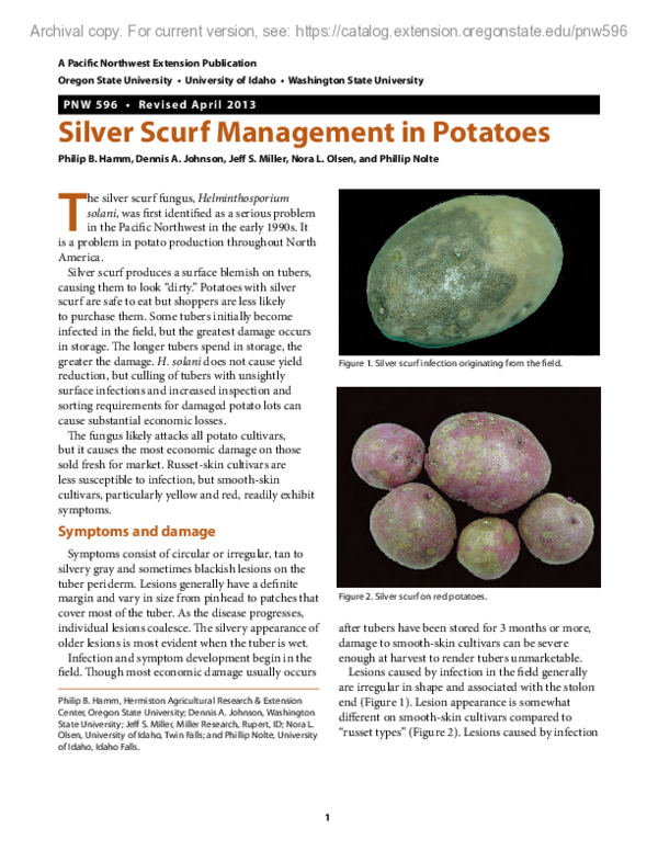 (PDF) Silver scurf management in potatoes