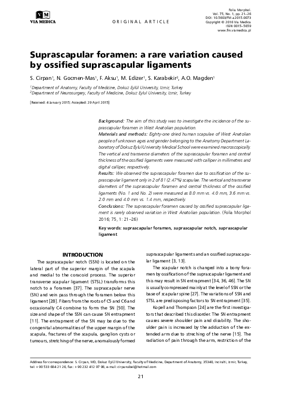 Suprascapular foramen: a rare variation caused by ossified ...