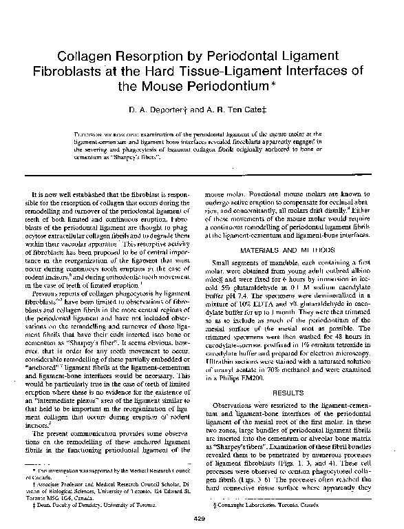 (PDF) Collagen Resorption by Periodontal Ligament Fibroblasts at the Hard Tissue-Ligament ...