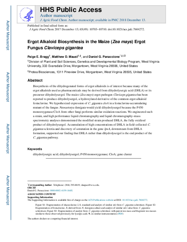 (PDF) Ergot Alkaloid Biosynthesis in the Maize (Zea mays) Ergot Fungus ...