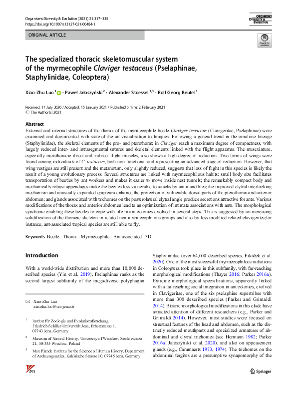 The specialized thoracic skeletomuscular system of the myrmecophile ...