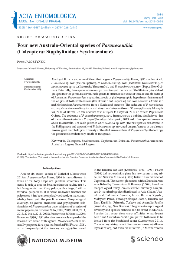 (PDF) Four new Australo-Oriental species of Paraneseuthia (Coleoptera ...