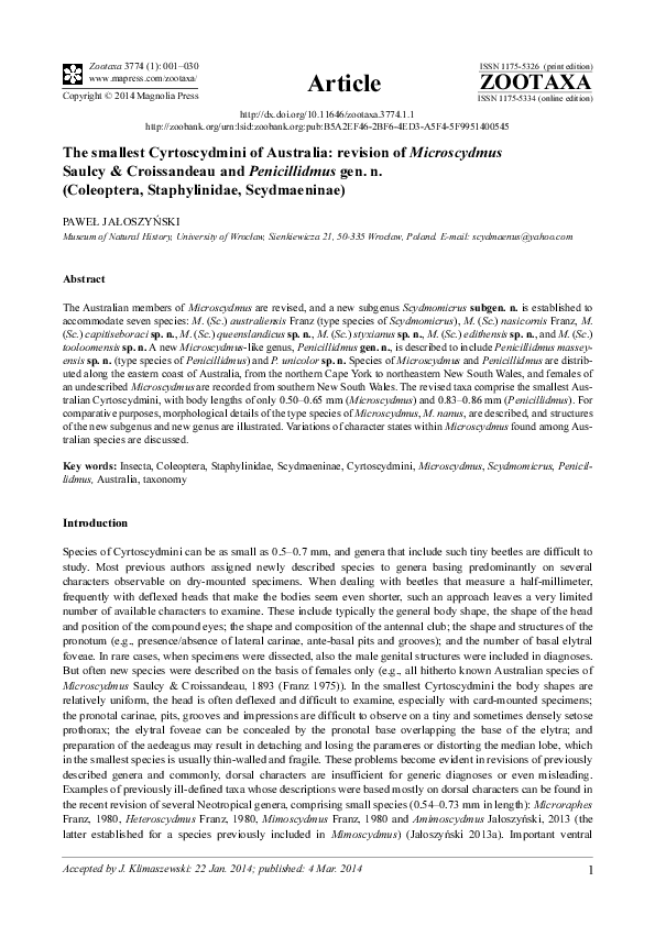 (PDF) The smallest Cyrtoscydmini of Australia: revision of Microscydmus ...