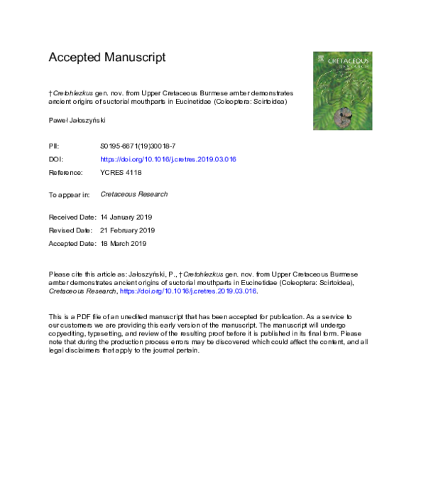 (PDF) †Cretohlezkus gen. nov. from Upper Cretaceous Burmese amber ...