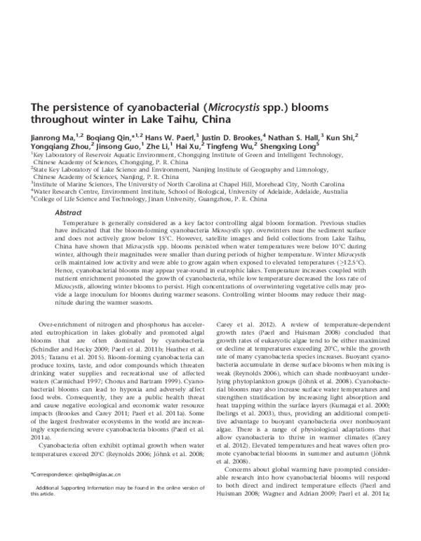 (PDF) The persistence of cyanobacterial (Microcystis spp.) blooms ...
