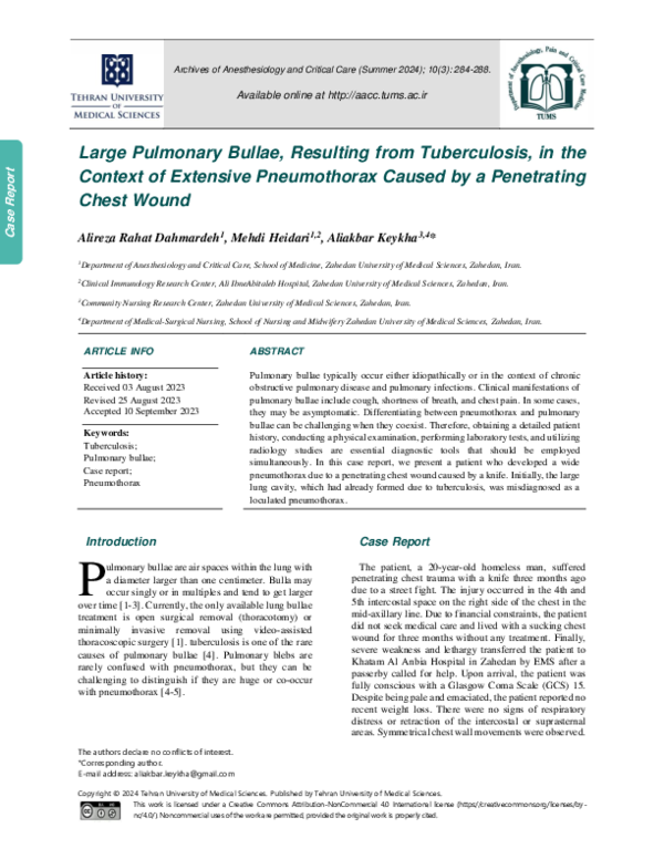(PDF) Large Pulmonary Bullae, Resulting from Tuberculosis, in the ...
