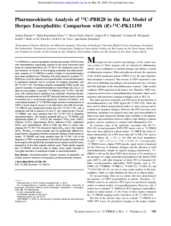 (PDF) Pharmacokinetic Analysis of 11C-PBR28 in the Rat Model of Herpes ...