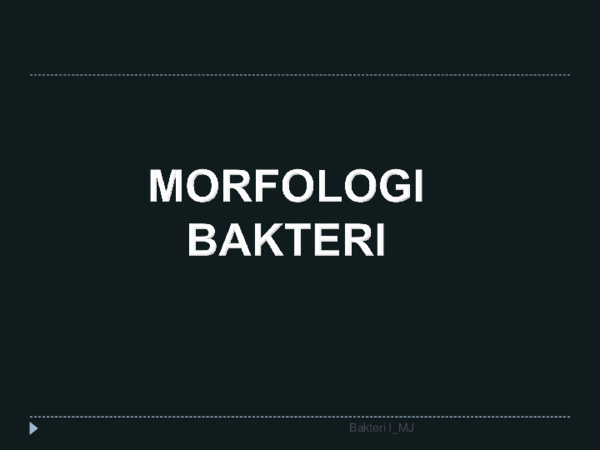 (PDF) Morfologi & Struktur Bakteri