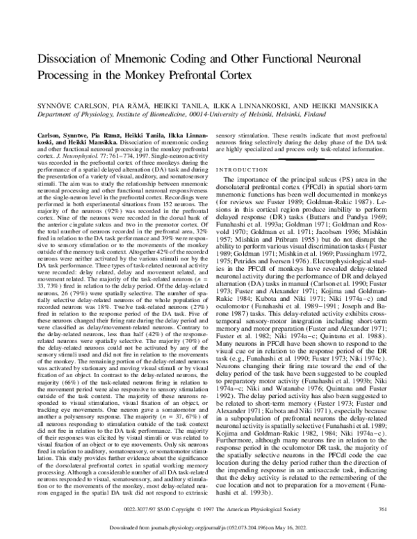 (PDF) Dissociation of mnemonic coding and other functional neuronal processing in the monkey ...