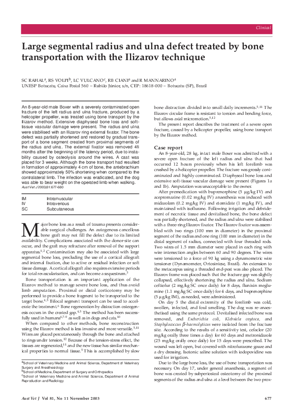 (PDF) Large segmental radius and ulna defect treated by bone ...