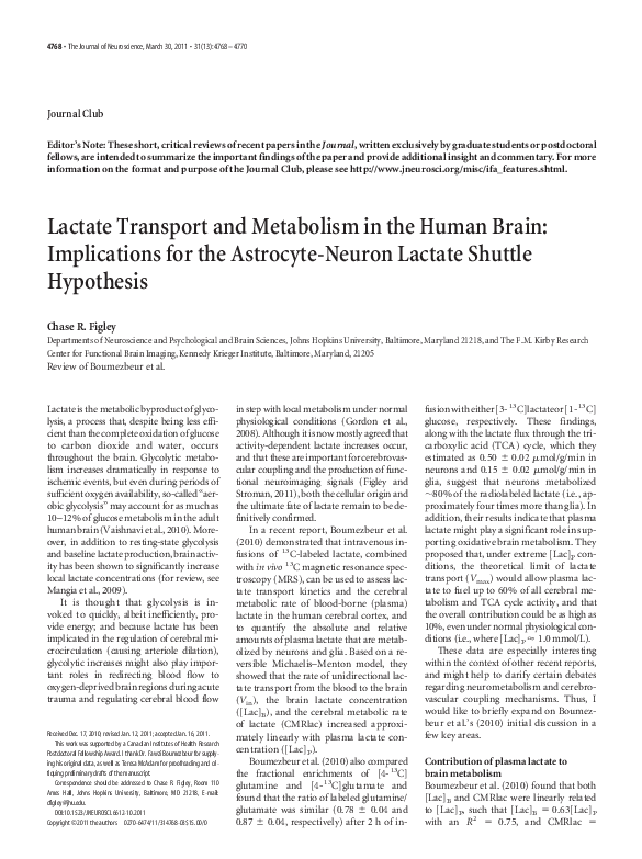 Lactate Transport and Metabolism in the Human Brain: Implications for ...