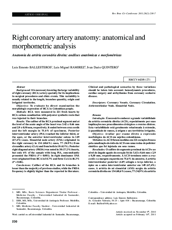 (PDF) Right coronary artery anatomy: anatomical and morphometric analysis