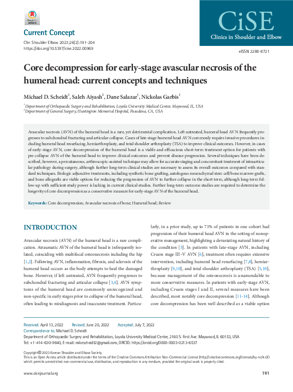 (PDF) Core decompression for early-stage avascular necrosis of the ...