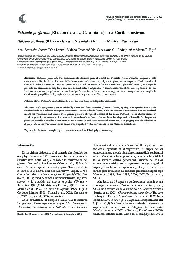 (PDF) Palisada perforata (Rhodomelaceae, Ceramiales) en el Caribe mexicano