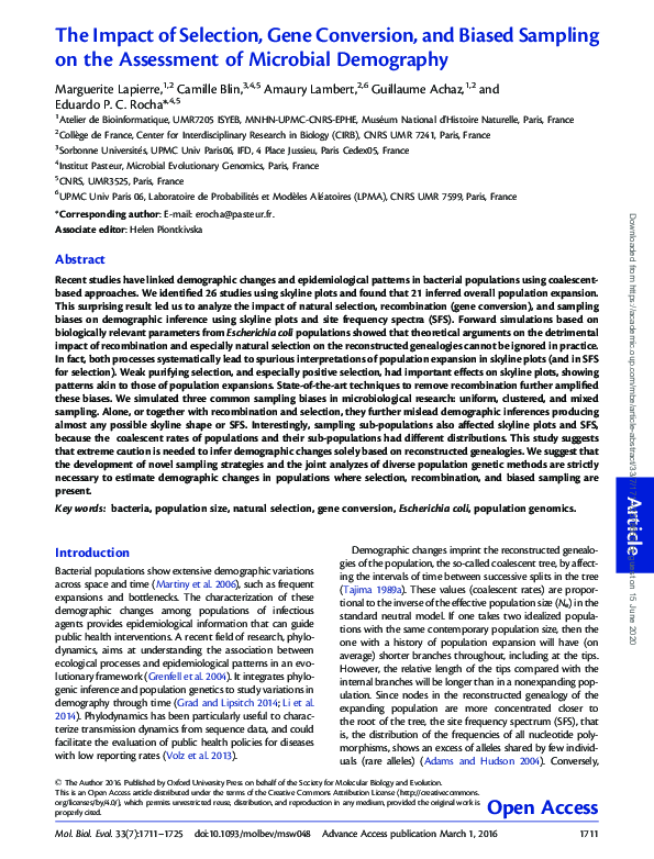 (PDF) The Impact of Selection, Gene Conversion, and Biased Sampling on ...