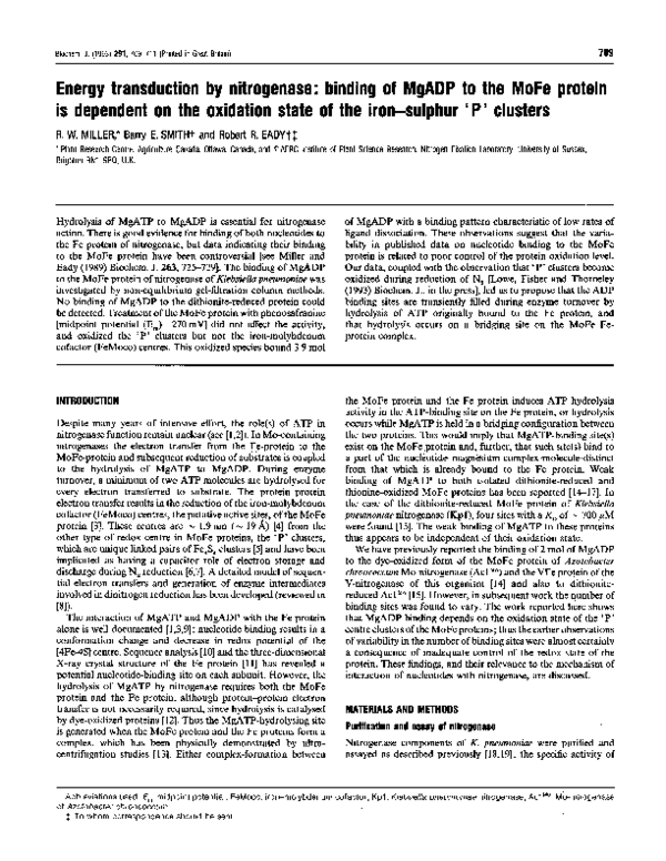 (PDF) Energy transduction by nitrogenase: binding of MgADP to the MoFe ...