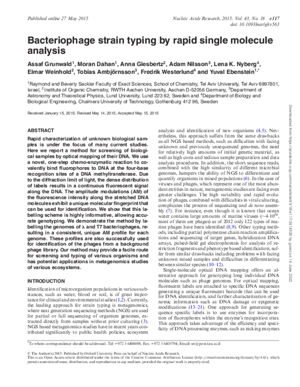 (PDF) Bacteriophage strain typing by rapid single molecule analysis