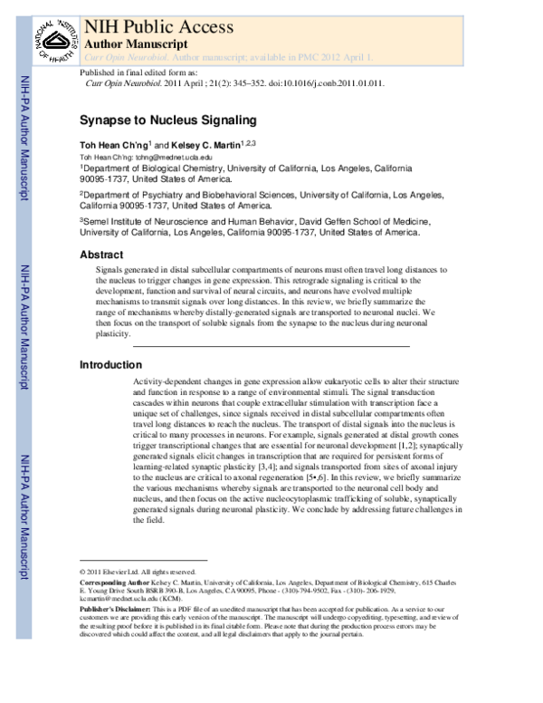 Synapse-to-nucleus signaling