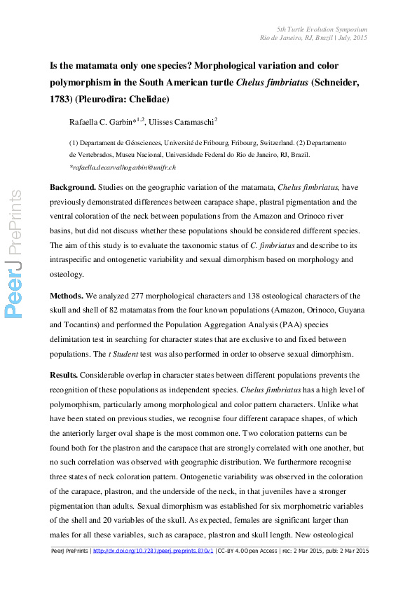 (PDF) Is the matamata only one species? Morphological variation and ...