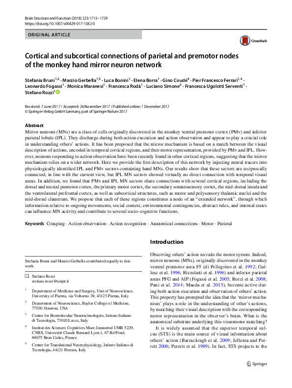 (PDF) Cortical and subcortical connections of parietal and premotor nodes of the monkey hand ...