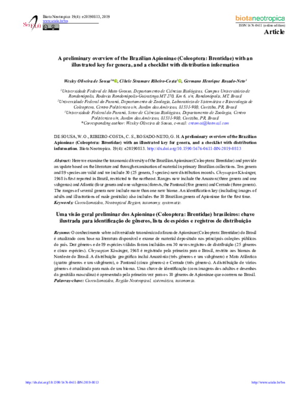 (PDF) A preliminary overview of the Brazilian Apioninae (Coleoptera ...