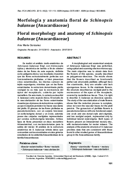 (PDF) Morfología y anatomía floral de Schinopsis balansae ...