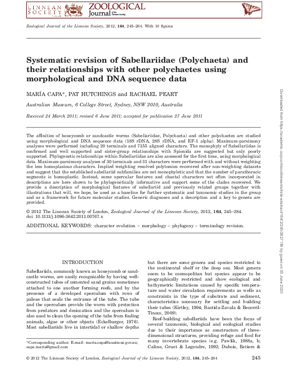 (PDF) Systematic revision of Sabellariidae (Polychaeta) and their ...