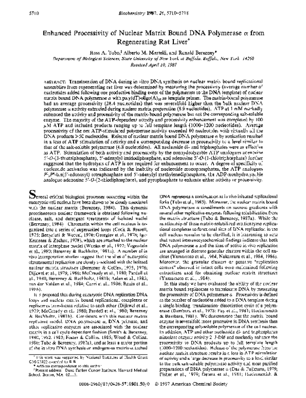 (PDF) Enhanced processivity of nuclear matrix bound DNA polymerase ...
