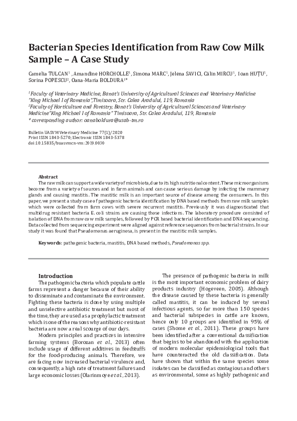 (PDF) Bacterian Species Identification from Raw Cow Milk Sample – A ...
