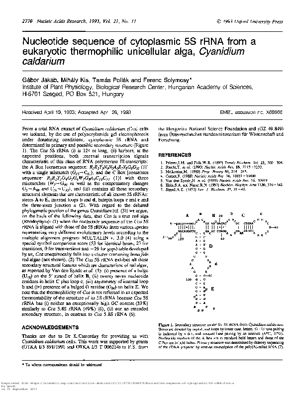 (PDF) Nucleotide sequence of cytoplasmic 5S rRNA from a eukaryotic thermophilic unicellular alga ...