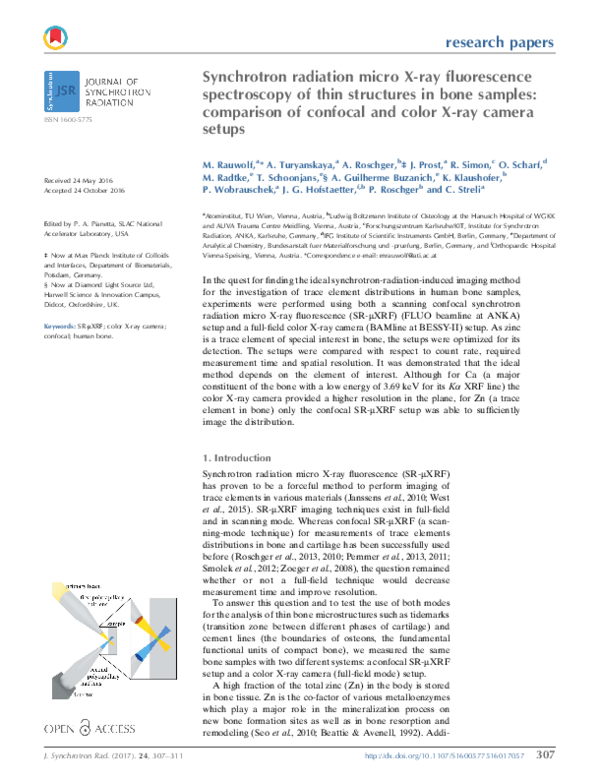 Synchrotron radiation micro X-ray fluorescence spectroscopy of thin structures in bone samples ...