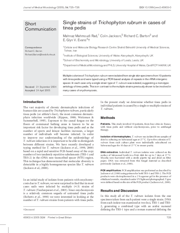 (PDF) Single strains of Trichophyton rubrum in cases of tinea pedis
