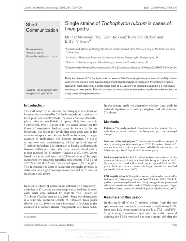 (PDF) Single strains of Trichophyton rubrum in cases of tinea pedis