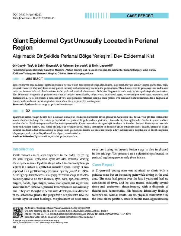 (PDF) Giant Epidermal Cyst Unusually Located in Perianal Region