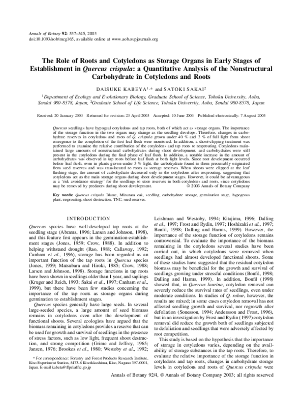 (PDF) The role of roots and cotyledons as storage organs in early ...