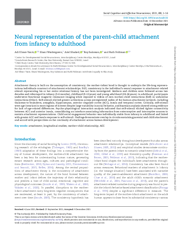 Neural representation of the parent–child attachment from infancy to ...