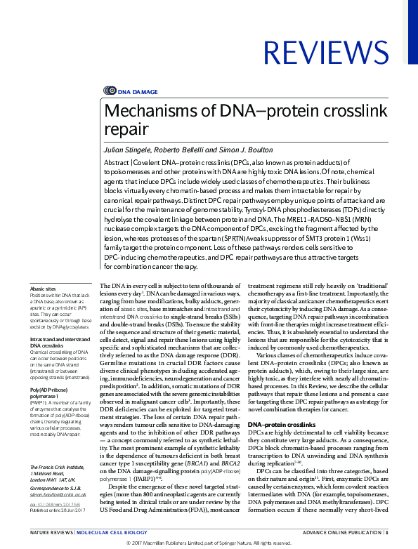 (PDF) Mechanisms of DNA-protein crosslink repair