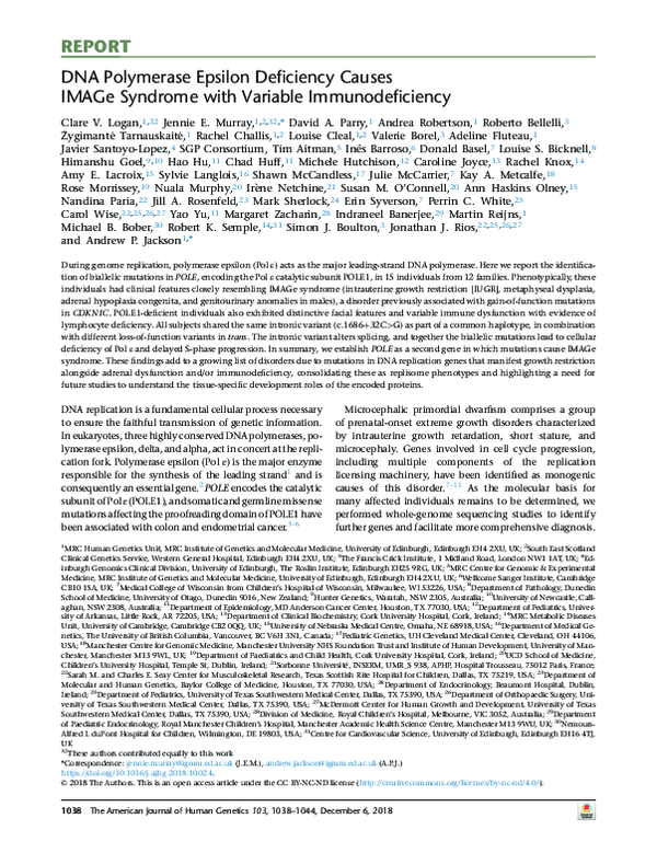 (PDF) DNA Polymerase Epsilon Deficiency Causes IMAGe Syndrome with ...