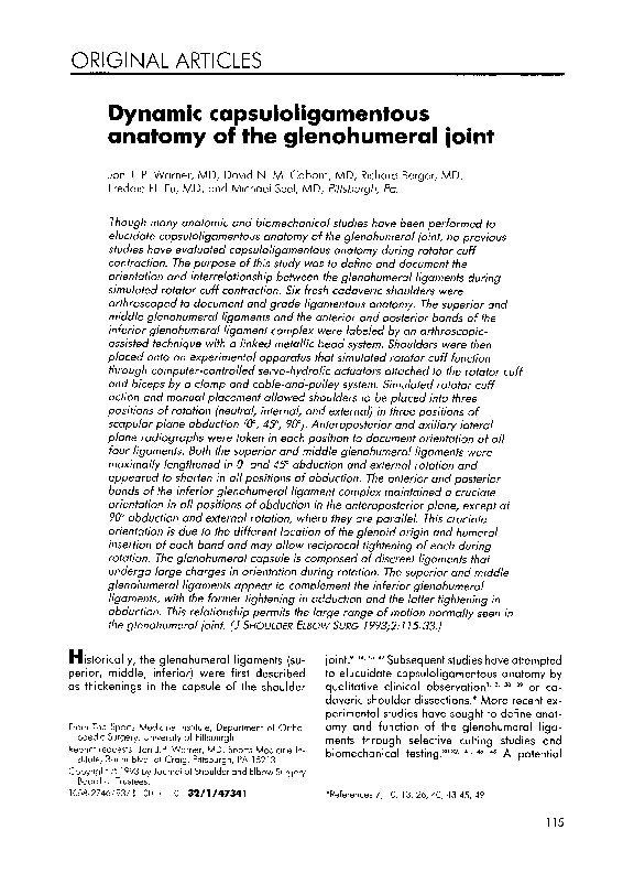 (PDF) Dynamic capsuloligamentous anatomy of the glenohumeral joint