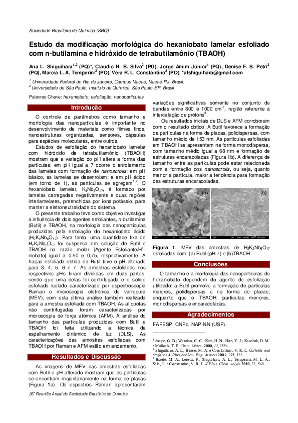 (PDF) Estudo da modificação morfológica do hexaniobato lamelar ...