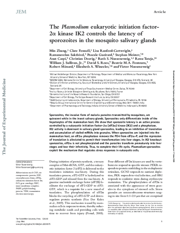 The Plasmodium eukaryotic initiation factor-2α kinase IK2 controls the ...