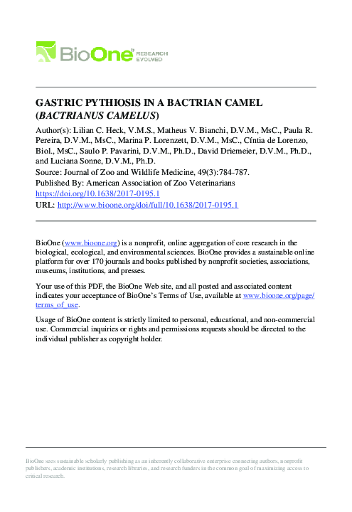 (PDF) Gastric Pythiosis in a Bactrian Camel (Bactrianus Camelus)