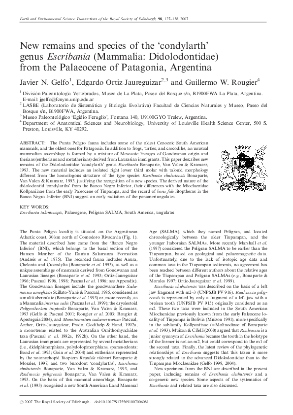 (PDF) New remains and species of the ‘condylarth’ genus Escribania ...