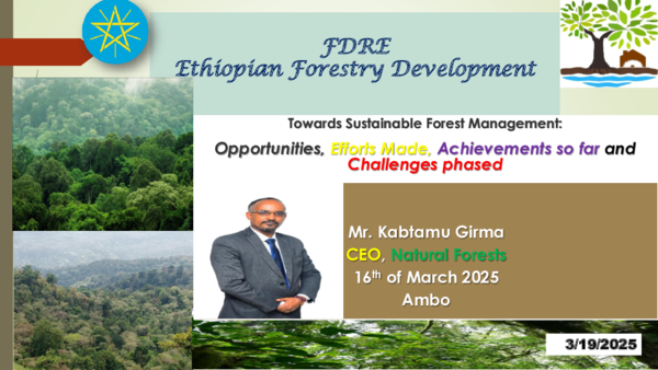 (PDF) Ethiopian Forestry Development