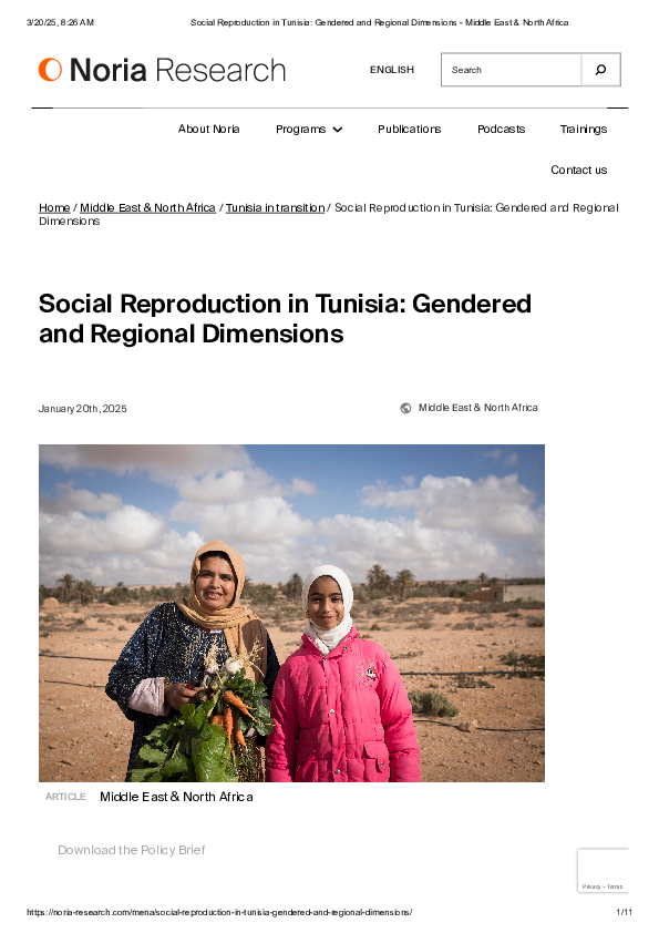 (PDF) Social Reproduction in Tunisia Gendered and Regional Dimensions ...