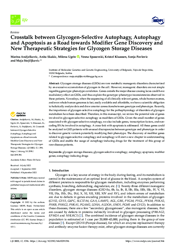 (PDF) Crosstalk between Glycogen-Selective Autophagy, Autophagy and Apoptosis as a Road towards ...