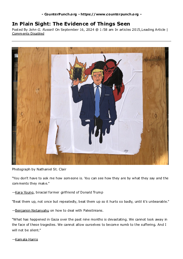 (PDF) In Plain Sight: The Evidence of Things Seen