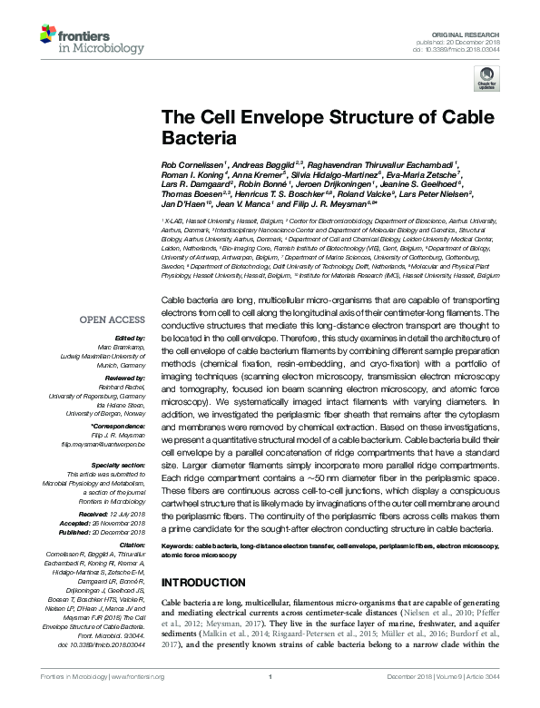 (PDF) The Cell Envelope Structure of Cable Bacteria