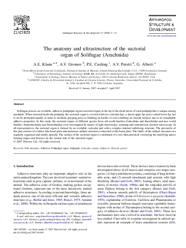 (PDF) The anatomy and ultrastructure of the suctorial organ of ...
